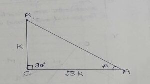 Trigonometric Ratios of Acute Angle - Mathematics Satyam